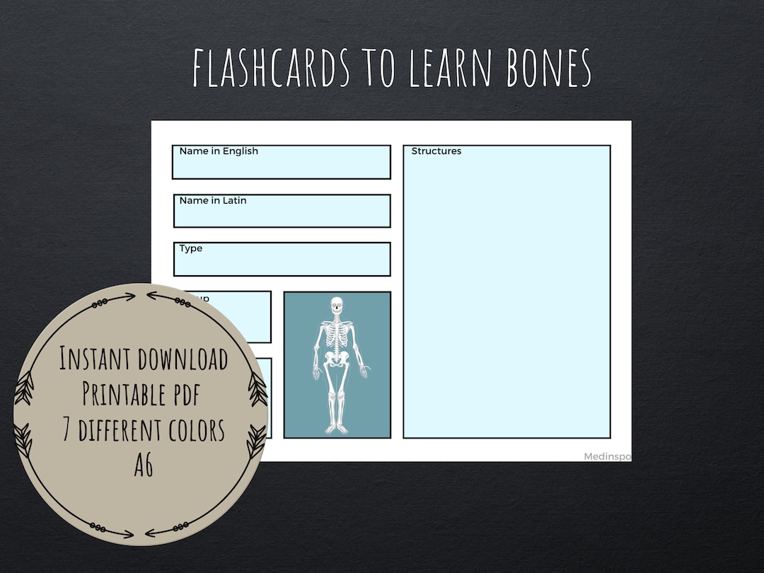 Skeletal System Flashcards PDF | Printable Digital Template | Study ...