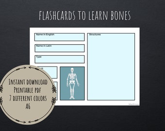 Muscular System Flashcards PDF Printable Digital Template - Etsy
