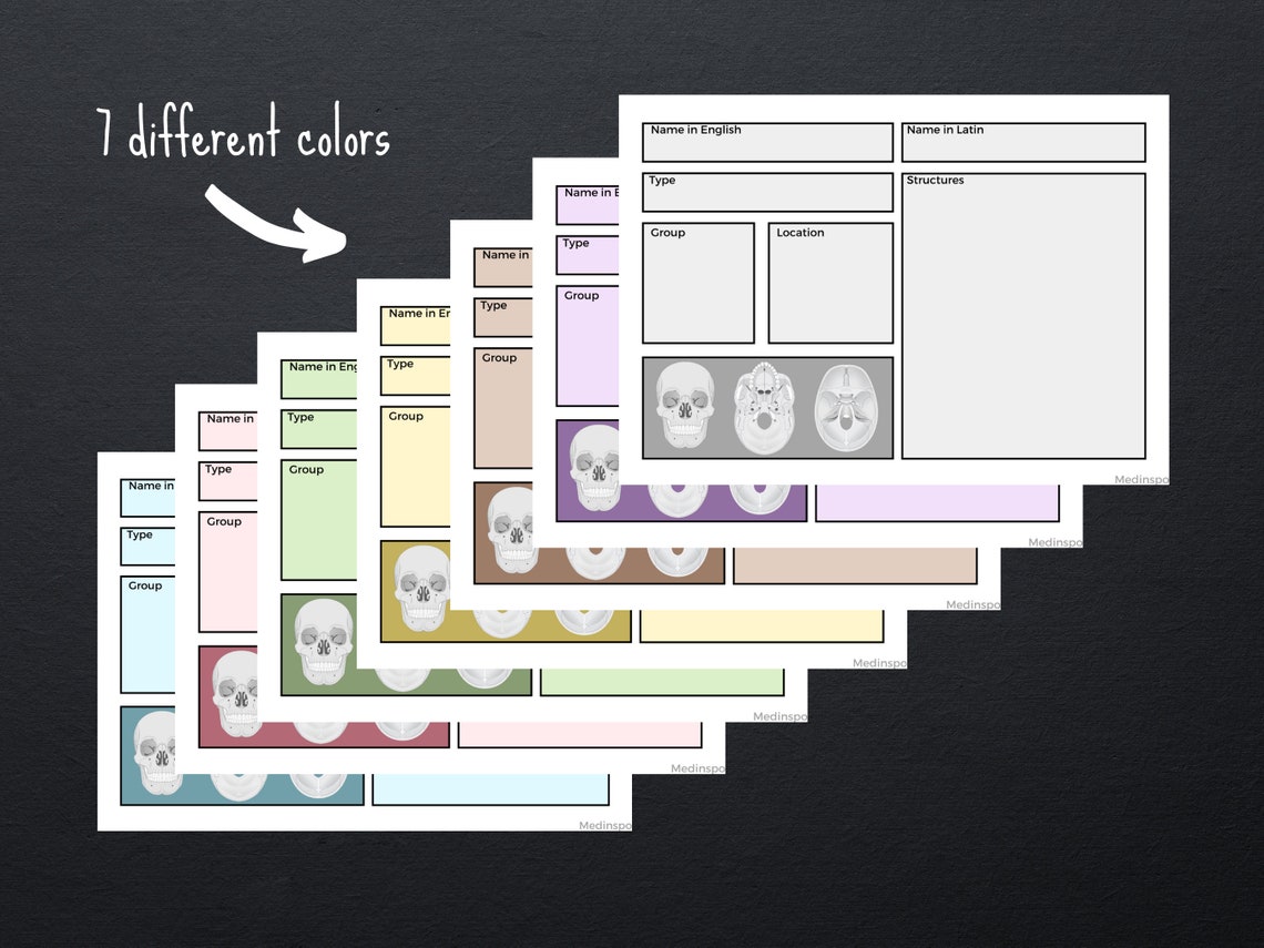 Cranium Skull Flashcards PDF Printable Digital Template - Etsy