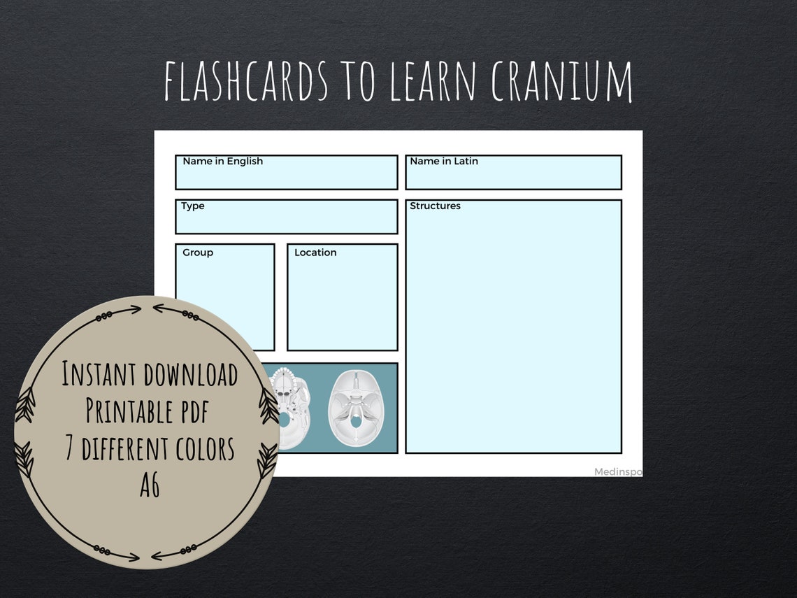 Cranium Skull Flashcards PDF | Printable Digital Template | Study ...