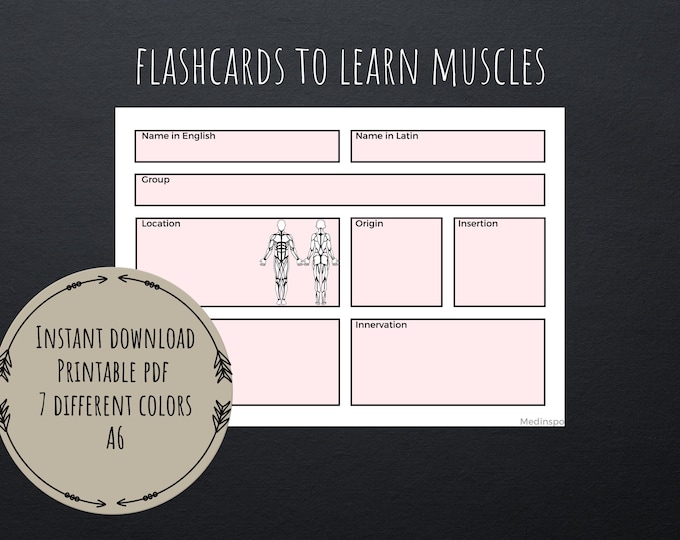 Muscular System Flashcards PDF | Printable Digital Template | Study ...
