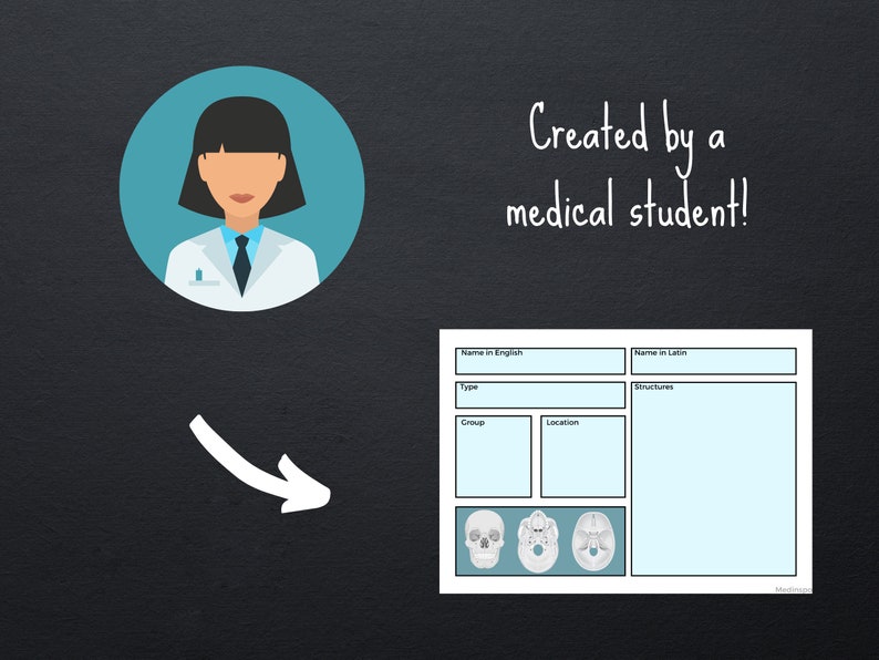 Cranium Skull Flashcards PDF | Printable Digital Template | Study ...