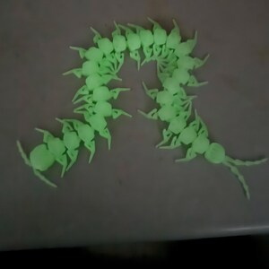 Articulated Robo Centipede Bug Toy 3D Printed Fun Fidget Toy Various ...