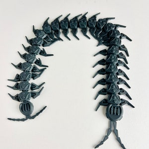 Articulated Robo Centipede Bug Toy 3D Printed Fun Fidget Toy Various ...