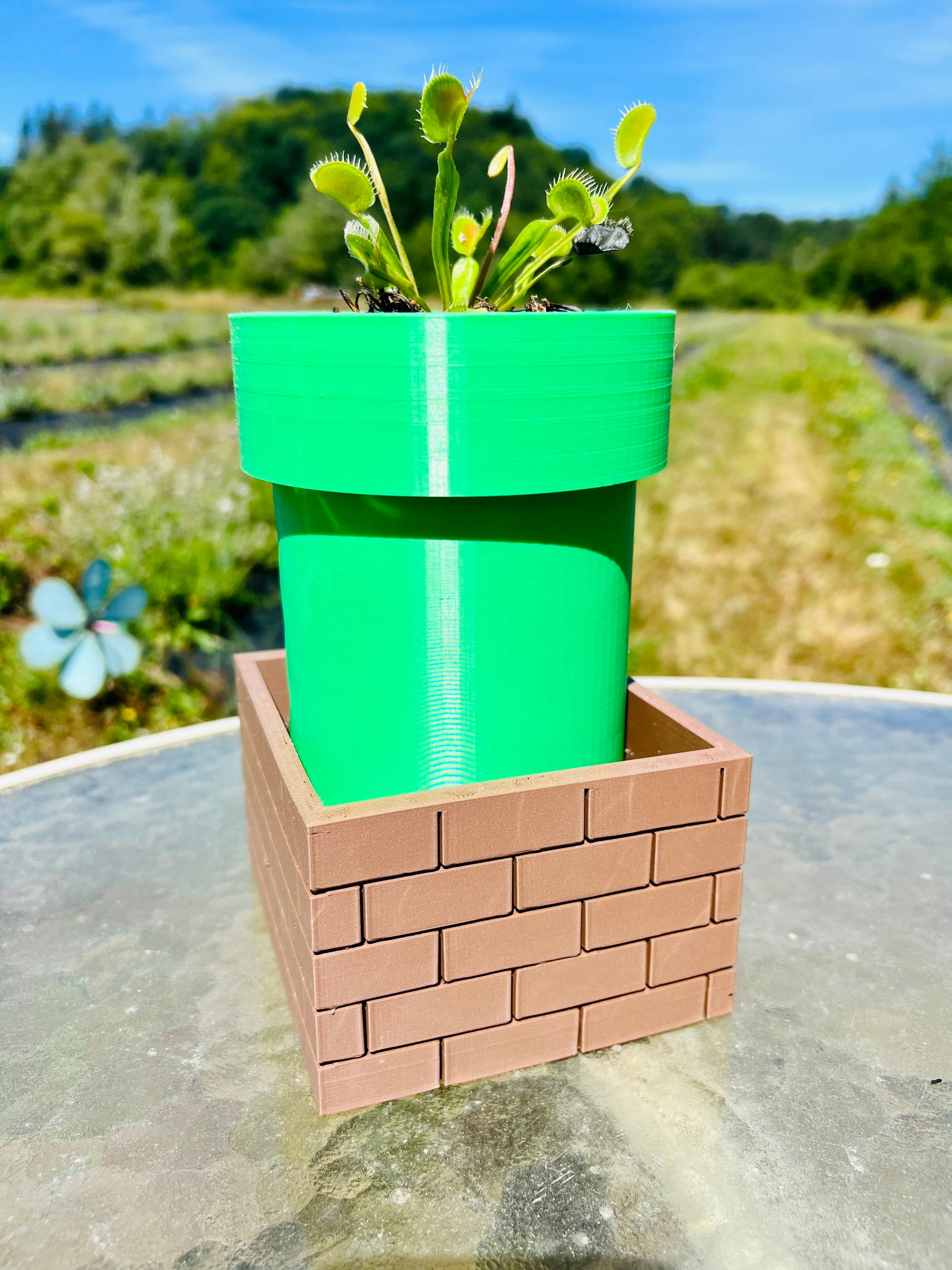 Super Mario Warp Pipe Inspired - Self Watering Planter - Farm Tested ...
