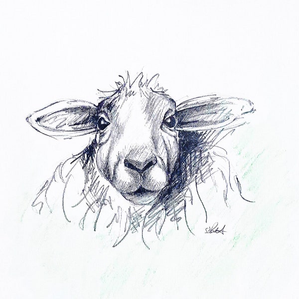 Black Sheep Artwork - Etsy