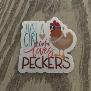 Inappropriate Chicken Stickers, Laptop Stickers, Chickens, Water Bottle ...