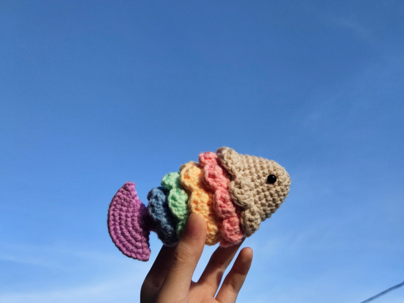 Rainbow Fish Crochet Pattern PDF Colorful Fish Amigurumi - Etsy