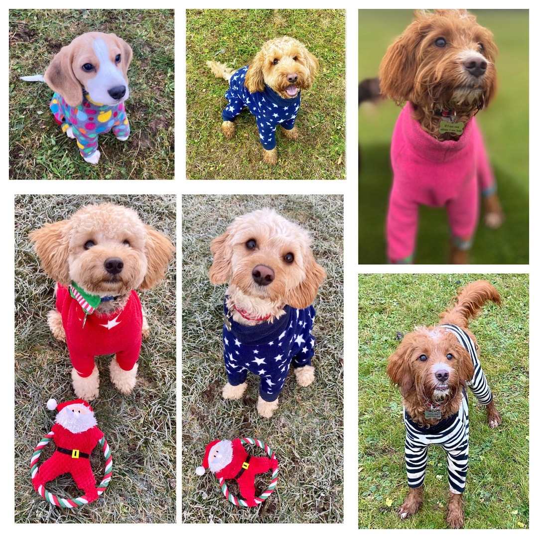 Waterproof Dog Onsie Dog Coat Dog Fleece Dog Suit. Bespoke. - Etsy