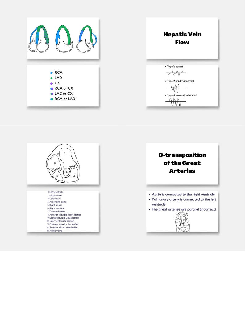 ARDMS Adult Echo Printable Flashcards - Etsy
