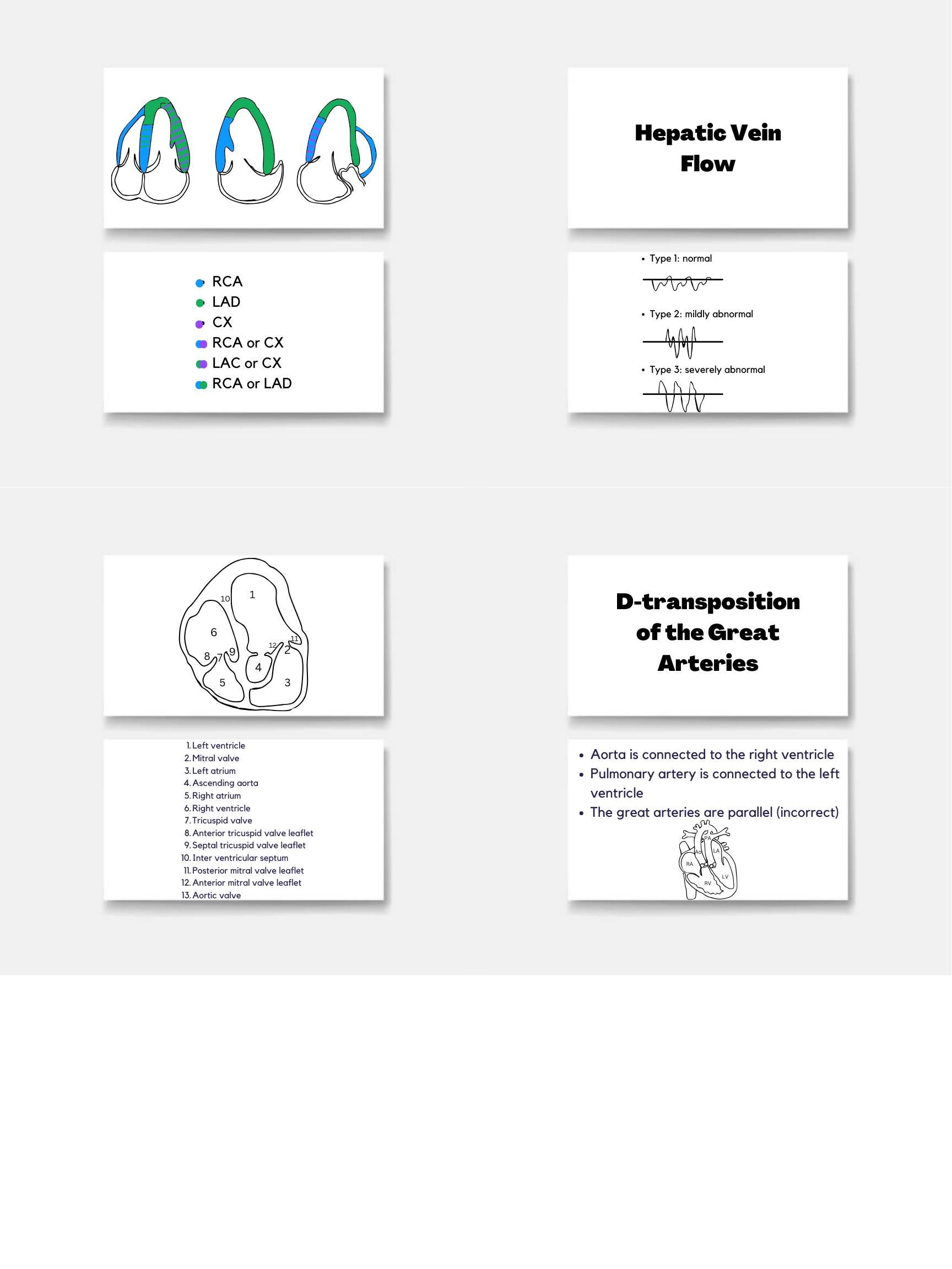 ARDMS Adult Echo Printable Flashcards - Etsy