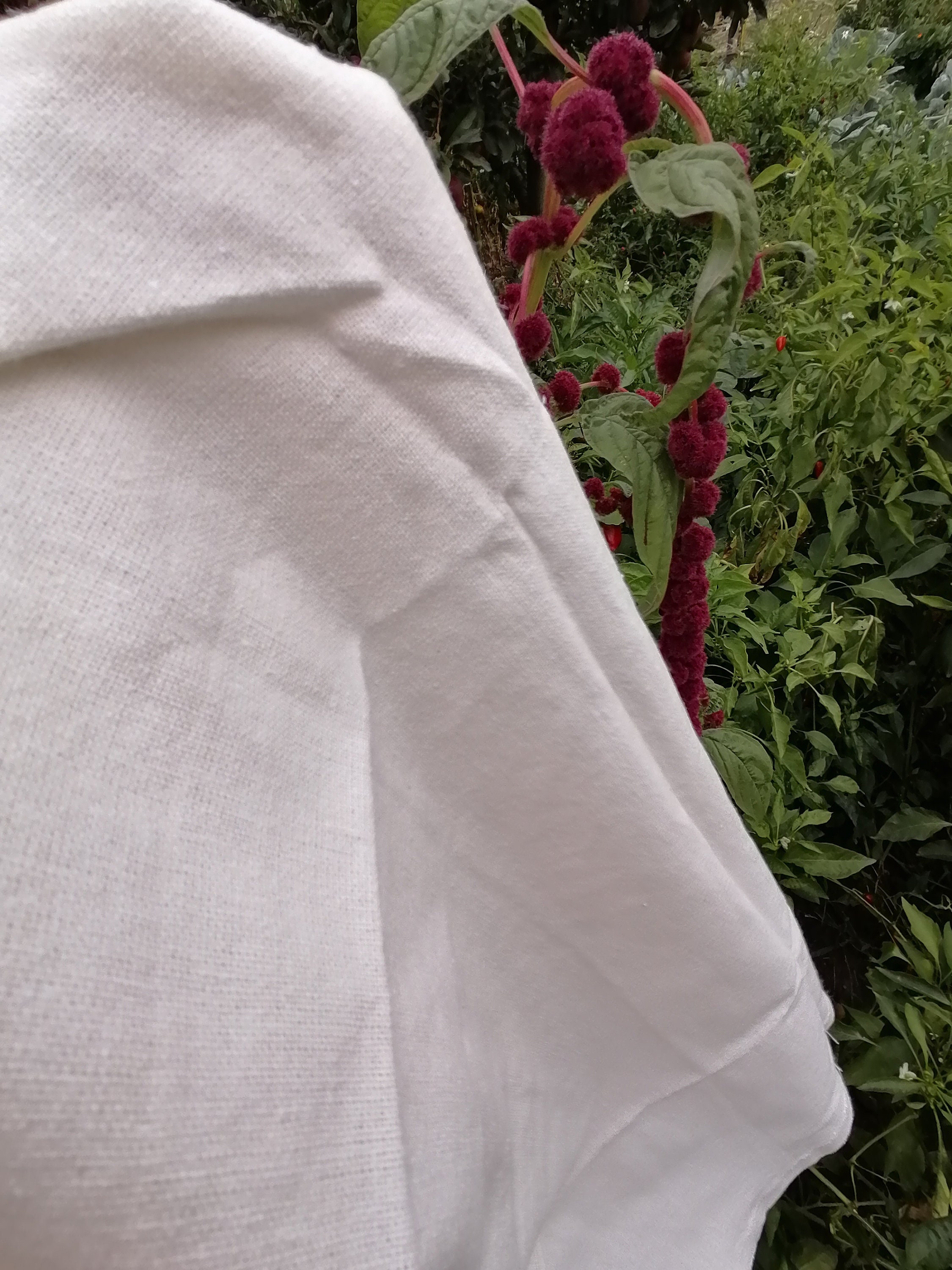 Tissu en coton doux de couleur naturelle, tissu calicot naturel, toile ...