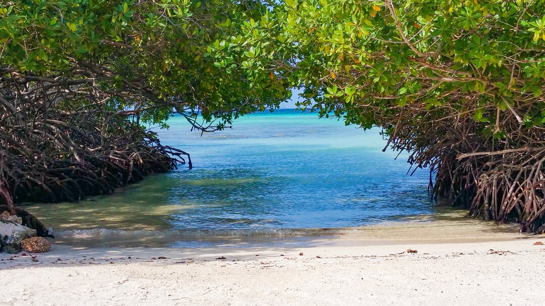 Aruba's Secret Ocean Entrance - Etsy