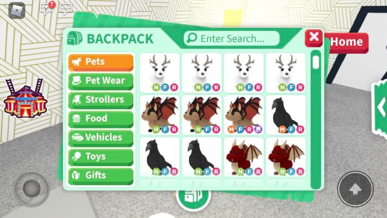 Rare Adopt Me Pets - Etsy