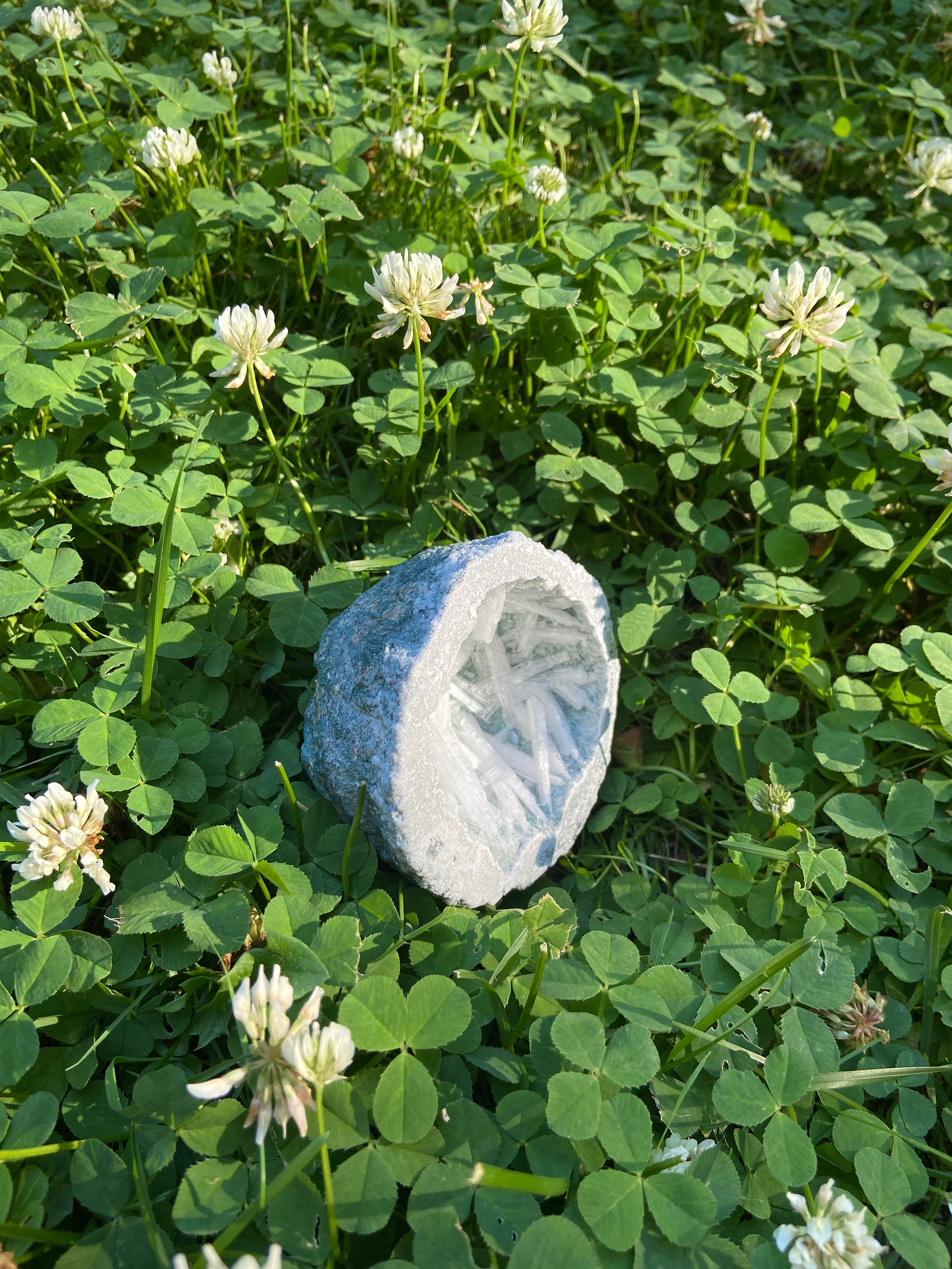 Awesome Geode™ GROW GEODE CRYSTALS, S.T.E.M, Science Project, Gift of ...