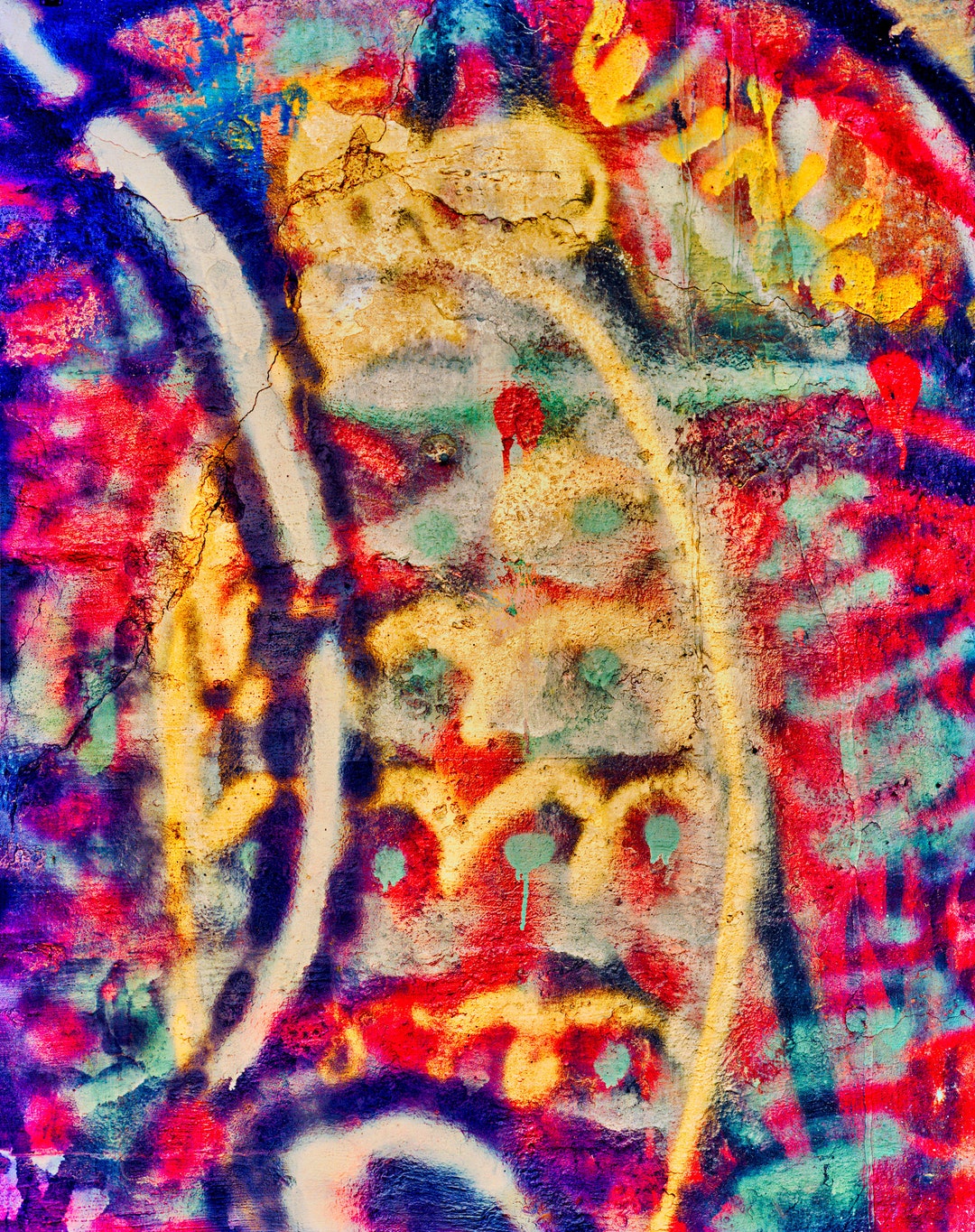 Praying Mantis Wall Art Canvas Wall Decor Glossy Paper Graffiti Canvas ...