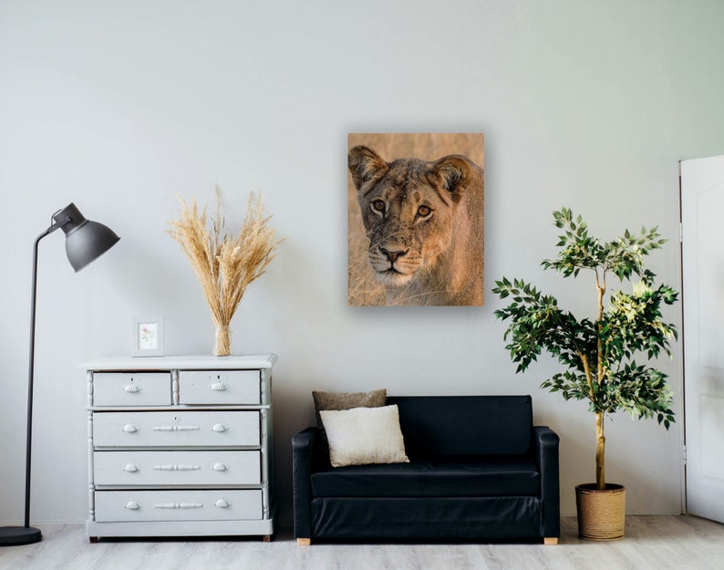 Lioness Portrait Canvas Print, South African Photo Art - Etsy