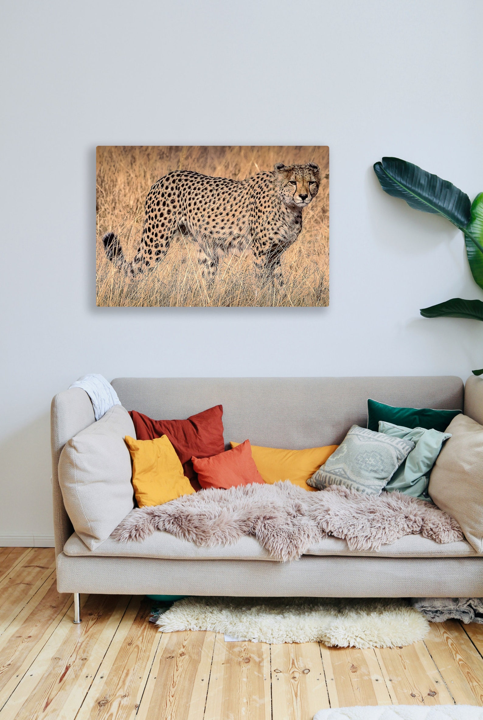 Leopard Photography Print | South African Wildlife Wall Art - Etsy
