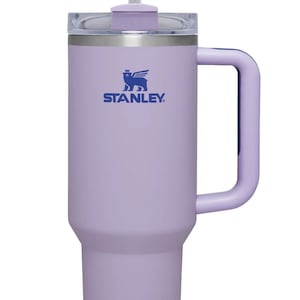 Bling 40 Oz Stanley Tumbler - Etsy
