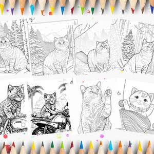 Cat Coloring Pages, Cat Coloring Pages for Kids, Cat Printable, Cat ...