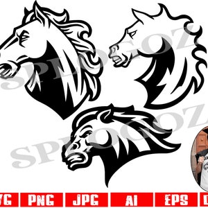 Horse Bronco Mascot Sports Team Wildlife Wild Stallion Mustang Animal ...
