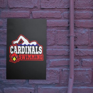 Cardinals Swimming Svg Cardinal Swimming Svg Cardinals Swimming Png ...