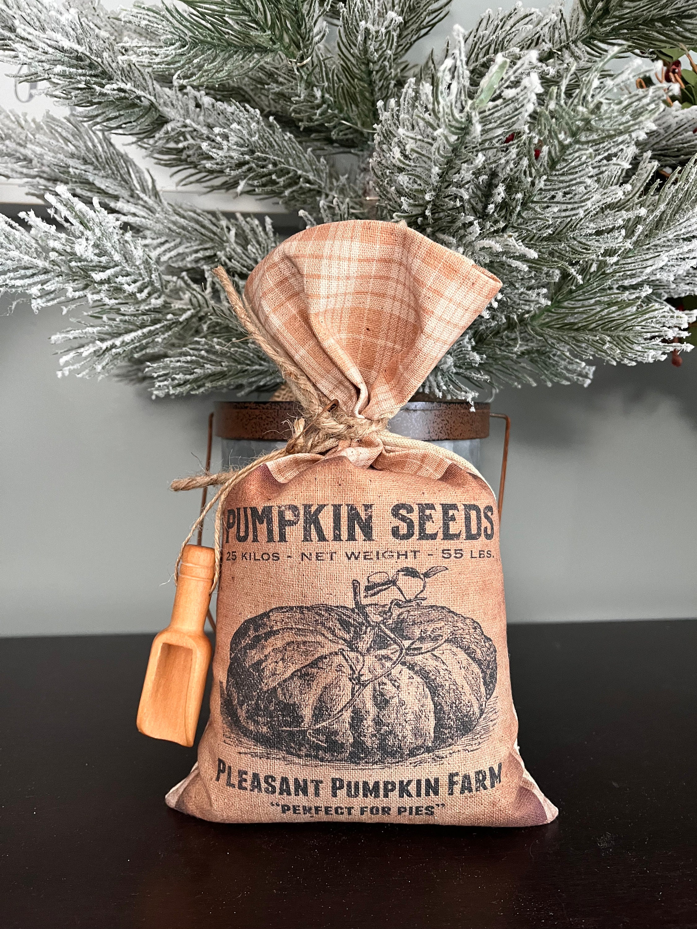 Primitive Pumpkin Seeds Bag With Mini Scoop - Etsy