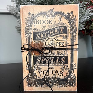 Halloween Potion Book - Etsy