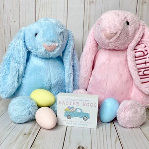 Embroidered Plush Bunny, Plush Bunny, Floppy Ear Bunny, Personalized ...