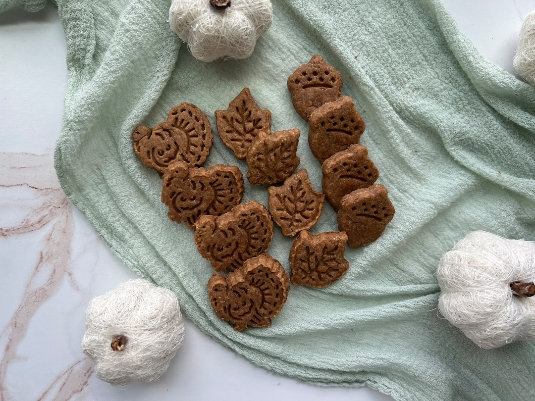 Fall Themed Dog Treats for Fall Dog Treats Homemade Dog Treats for Fall ...