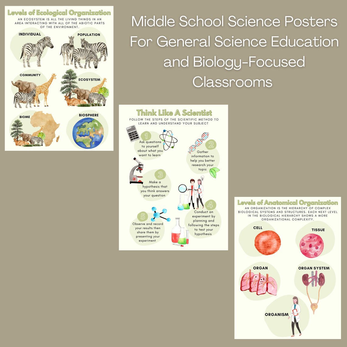 Set of 3 Biology Science Middle School Posters, Learning Poster, High ...