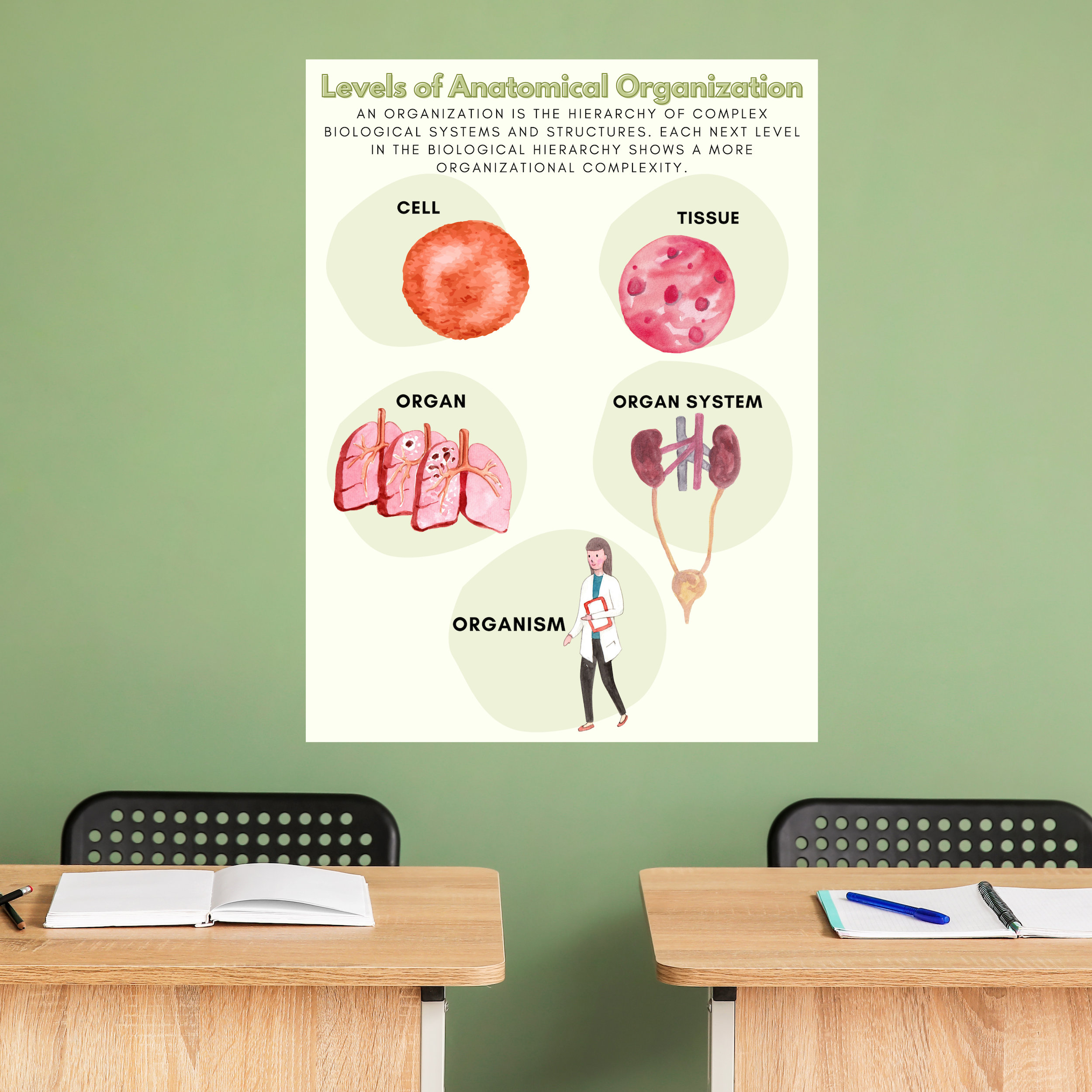Set of 3 Biology Science Middle School Posters, Learning Poster, High ...