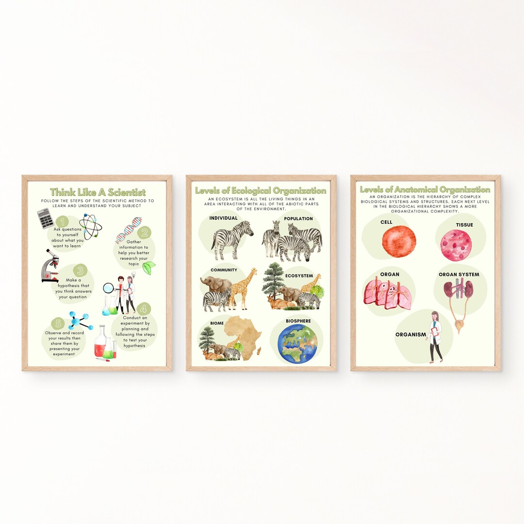 Set of 3 Biology Science Middle School Posters, Learning Poster, High ...