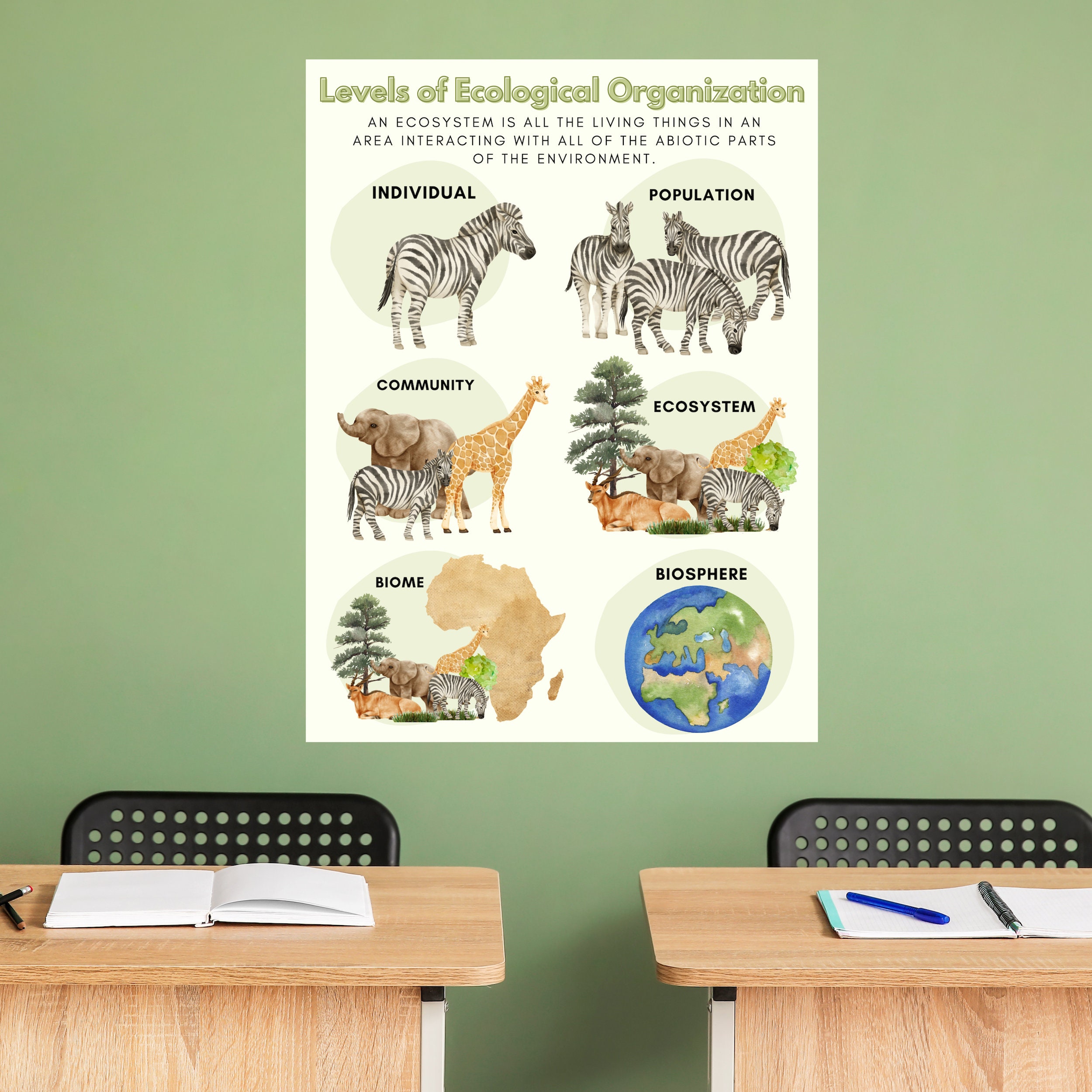 Set of 3 Biology Science Middle School Posters, Learning Poster, High ...