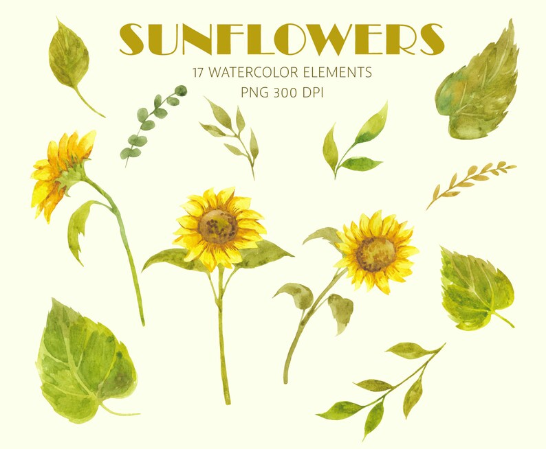 Sunflowers Watercolor Png Clipart | Fall Watercolor Clipart | Digital ...