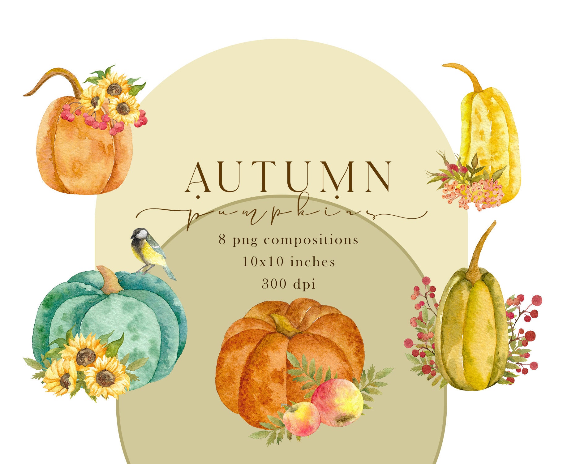 Watercolor Pumpkins Clipart, Fall Clipart Png, Fall Pumpkin - Etsy