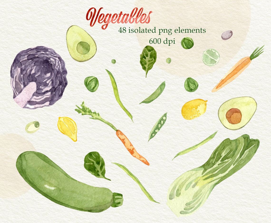Watercolor Vegetable Clipart Healthy Food Vegan Zero Waste - Etsy