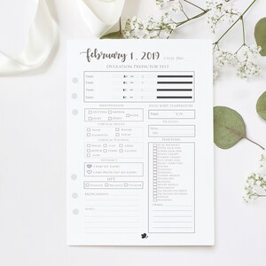 Printable TTC Fertility Diary | Journey to Baby | Cycle Planner Journal ...