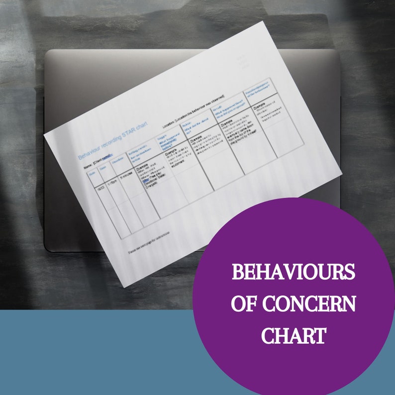 Behaviour of Concern Chart NDIS Business Support Work Agency Word ...