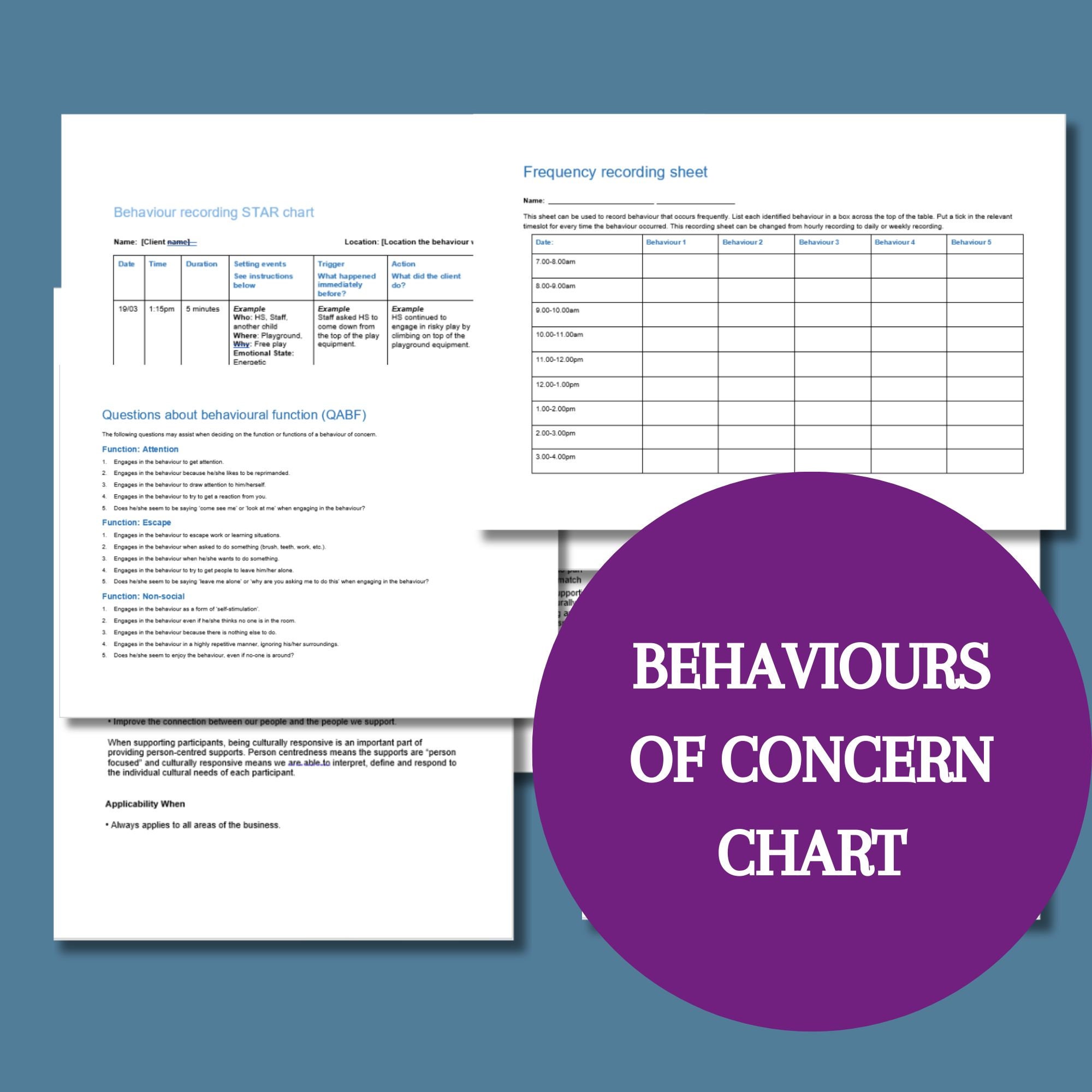 Behaviour of Concern Chart NDIS Business Support Work Agency Word ...