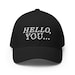 YOU TV Show Hat | Hello, You Hat | Joe Goldberg Fan | Love Quinn You TV ...