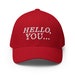 YOU TV Show Hat | Hello, You Hat | Joe Goldberg Fan | Love Quinn You TV ...