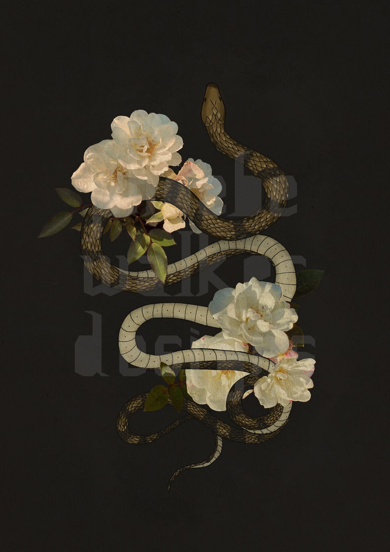 Floral Snake Home Decor Wall Art Print A4 A3 - Etsy