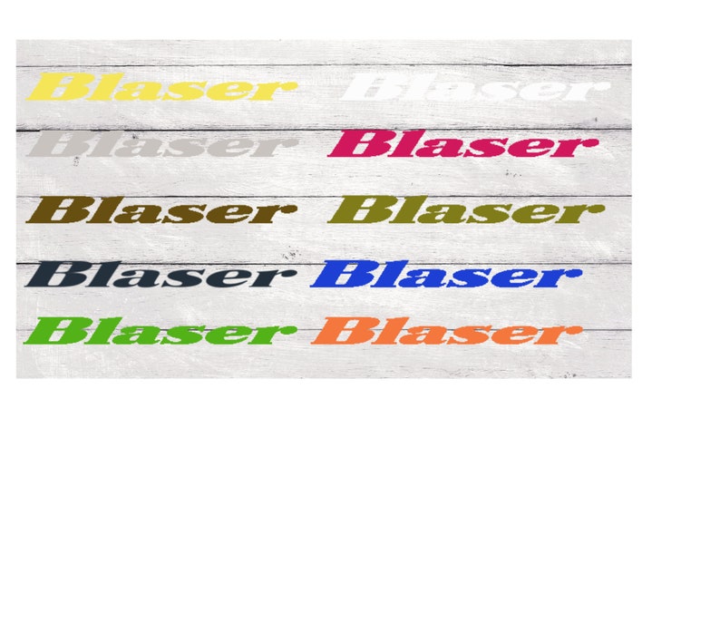 Blaser Vinyl Decal Sticker for Shotgun / Gun / Case / Gun Safe / Car - Etsy