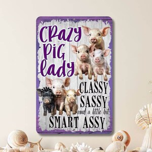 Pig Lady Sign, Crazy Pig Lady Gift, Gift for Pig Lover, Pig Metal Sign ...