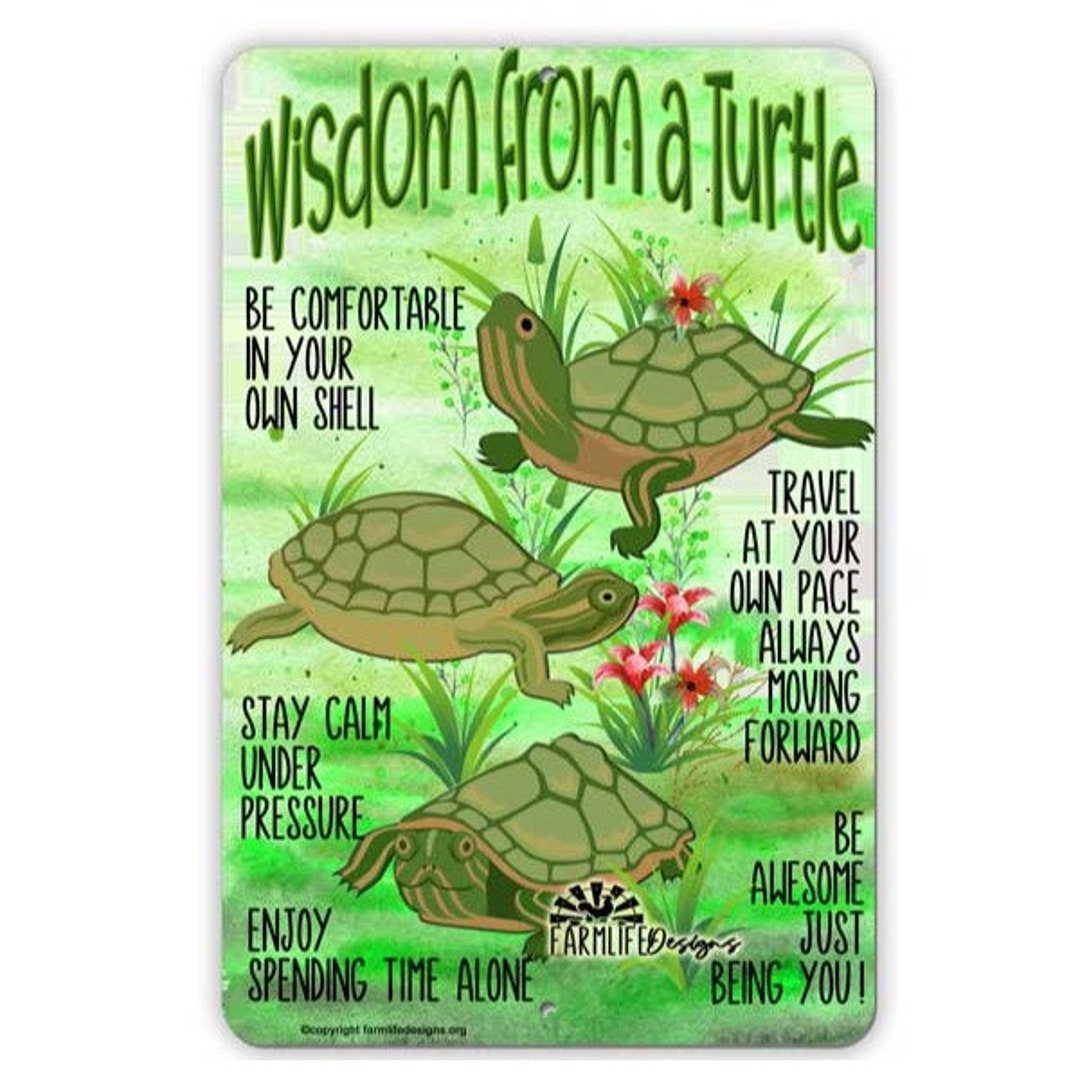 Turtle Sign Wisdom From a Turtle Good Advice Green - Etsy