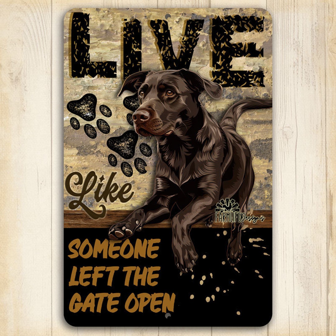 Chocolate Labrador Lover Gift, Live Like Someone Left Gate Open (or ...