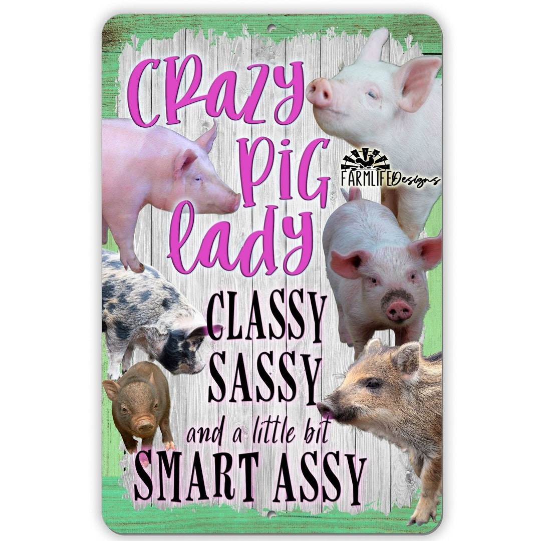 Pig Lady Sign Crazy Pig Lady... Classy Sassy Smart Handmade - Etsy