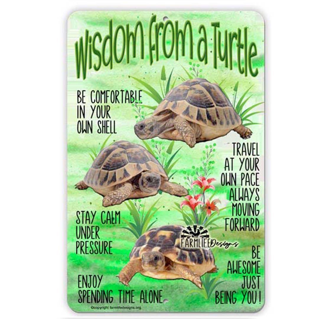 Turtle Advice Sign, Wisdom From a Turtle, Brown Turtles, Handmade 8x12 ...