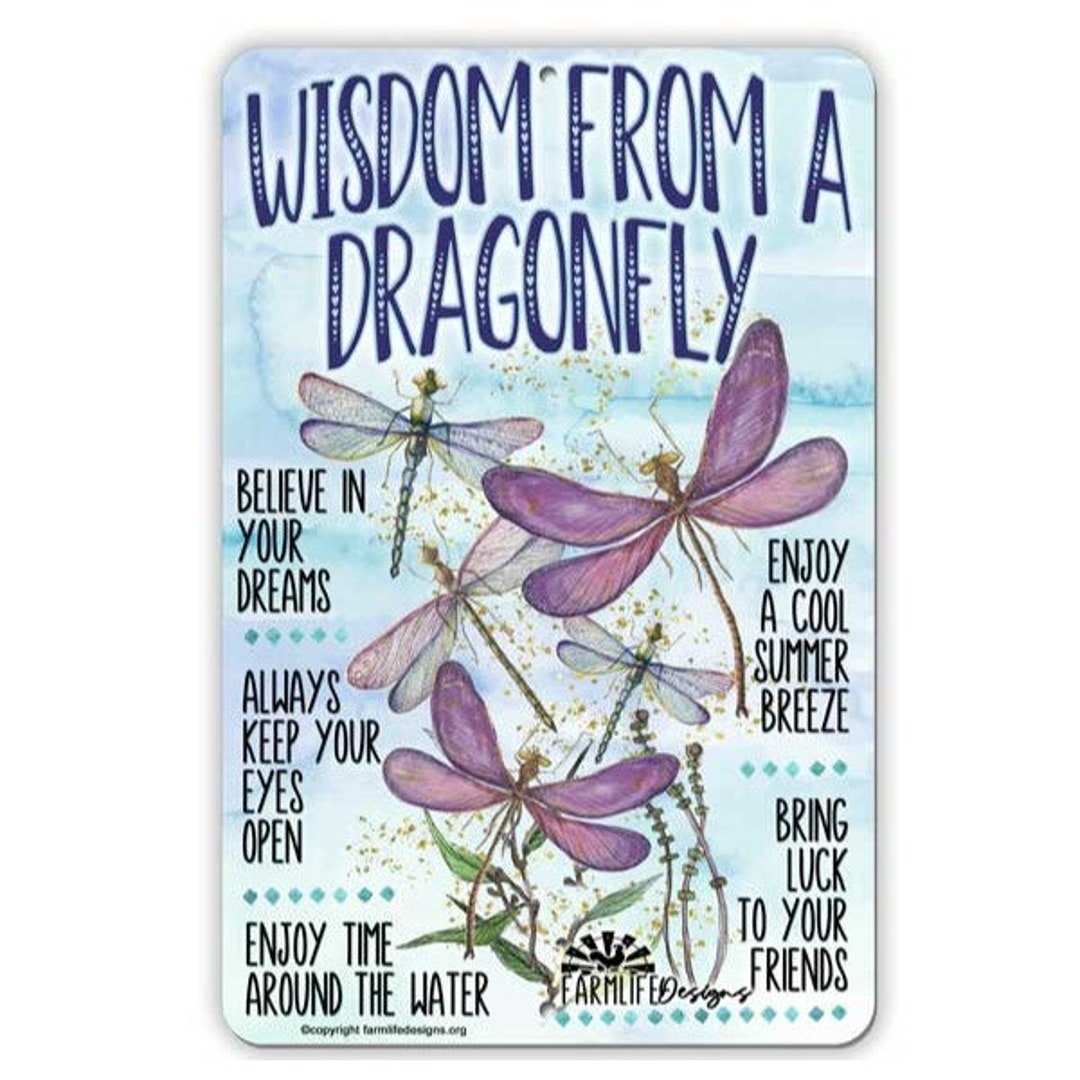 Dragonfly Sign Wisdom From a Dragonfly, Good Advice, Motivational, Gift ...